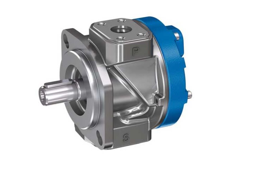 ROTOR PUMPS WITH CONSTANT DISPLACEMENT